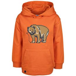 Mayoral - Kapuzen-Sweatshirt BROWNBEAR in safrangelb, Gr.104