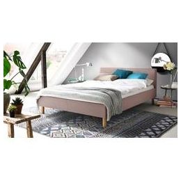 Betten Duscher Polsterbett 120x200 cm in rose mit runden Massivholzfüßen - Arensa