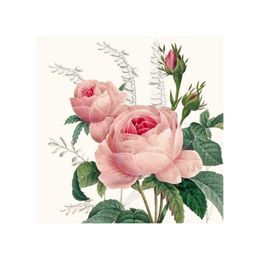 Servietten Motiv Wonderful Rose 33 x 33 cm, 20er Pack - Braun&company