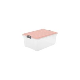 Rotho Aufbewahrungsbox Compact Aufbewahrungsbox 38l mit Deckel