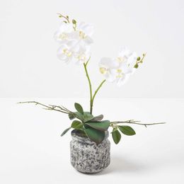 Homescapes - Künstliche weiß-gelbe Phalaenopsis-Orchidee im dunklen Zement-Topf, 42 cm - Weiß-Gelb