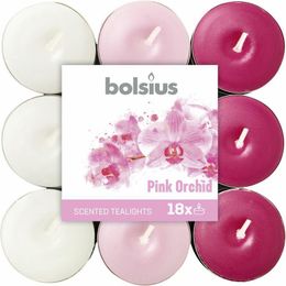 bolsius - Duftteelichter Pink Orchidee ø 3,8 cm, 18er Pack Teelichter