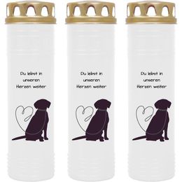 Hs Candle - Grabkerze Grablicht - 3er Pack mit Motiv ( Hund Leine ) - ca 100h / 4 Tage Brenndauer je Kerze ( 25cm, ø 7cm ) - viele versch. Deisgns