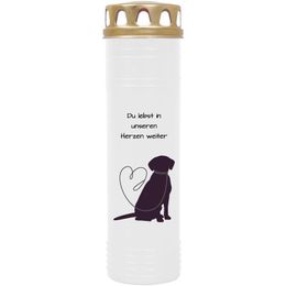 Hs Candle - Grablicht Grabkerze mit Motiv im Mehrpack ( Design ) - ca 170h / 7 Tage Brenndauer je Kerze ( 26cm, ø 7cm ) - viele verschiedene Deisgns