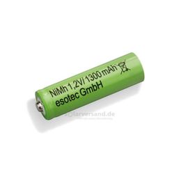 Esotec Ersatzakku Größe aa Mignon 1300 mAh