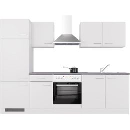 Flex-Well Küche Kopenhagen, wahlw. mit E-Geräten, Breite 270 cm, viele Farbvarianten erhältlich, grau|weiß