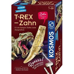 Kosmos Spiel, T-rex - Zahn