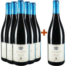 Weingut Graf von Bentzel-Sturmfeder Graf von Bentzel-Sturmfeder 2019 5+1 Paket Schozach Merlot ** trocken