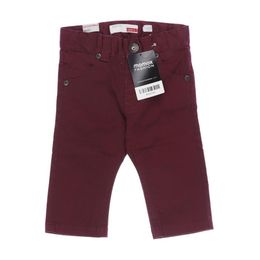 name it Damen Jeans, bordeaux, Gr. 74