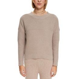 Esprit Pullover in Taupe - XL