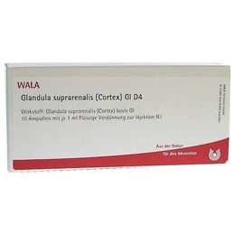 Dr. Hauschka Glandula suprarenalis (Cortex) Gl D4 Ampullen