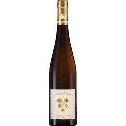 Weingut ökonomierat Rebholz WirWinzer Select 2020 Ganz Horn Riesling GG Trocken BIO