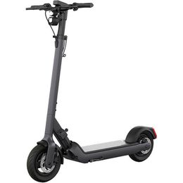 EGRET E-Scooter EGRET Pro, 20 km/h, bis zu 80 km Reichweite, mit Straßenzulassung, grau