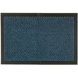 Golze - Achat Sauberlaufmatte blau Fußmatte Eingangsmatte Türmatte Vorleger Abtreter Abstreifer: 800 x 600 mm
