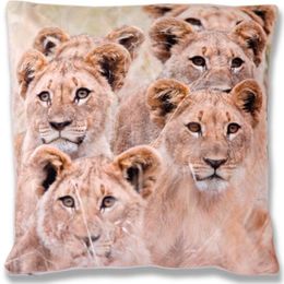 Bestlivings Dekokissen Fotodruck Motiv in 40x40 cm, Flauschig weiches Kissen in vielen Motiven erhältlich ( Design: Löwen ) - Löwen