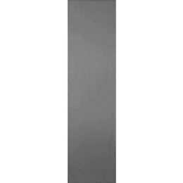 Bestlivings - Flächenvorhang blickdicht Schiebegardine Raumteiler Schiebevorhang ca.60cm x 245cm, Auswahl: mit Technik, anthrazit - dunkelgrau