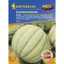 Kiepenkerl - Zuckermelone Stellio Cucumis melo, Inhalt 5 Korn Obstsamen