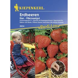 Kiepenkerl - Erdbeere Elan Fragaria ananassa, Inhalt 8 Pillen Obst- & Gemüsesamen