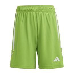 adidas Performance Sporthose Tiro 23 Short Kids