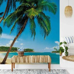 Wizard Genius - Große Fototapete Strand Papiertapete Tropische Palmen Insel Tapete 366x254cm modern - blau