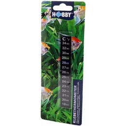 HOBBY - Digitalthermometer