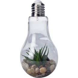 Mojawo Led Glas Glühbirne zum Hängen mit Pflanze-D773752-2