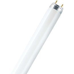 Leuchtstoffröhre lumilux - T8, 840 Neutralweiß - 38W (1047mm) - Osram