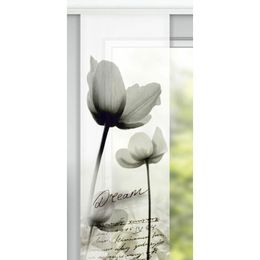Neusser Collection - Flächenvorhang Dream taupe, 60 x 280 cm Flächenvorhänge