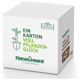 Floragard - Zitrus- und Mediterranpflanzenerde in der Box 60 Liter