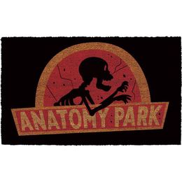 Sd Toys - Fußmatte rick & morty anatomy park 60x40