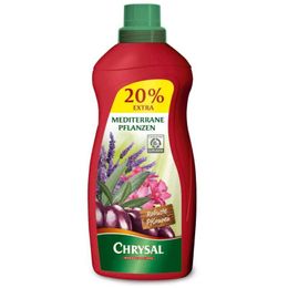 Chrysal - Flüssigdünger für Mediterrane Pflanzen - 1200 ml