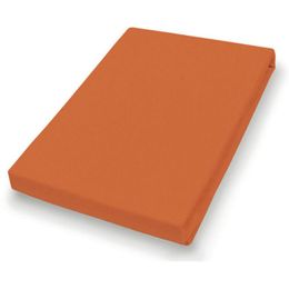 Hahn Haustextilien - Jersey-Spannlaken Basic Größe 90-100x200 cm Farbe terra