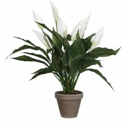 Mica Decorations - Mica Kunstpflanze Spathiphyllum weiß im Topf 11,5 x 50 x 40 cm Kunstpflanzen