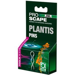 ProScape Plantis - 12 Stück - JBL