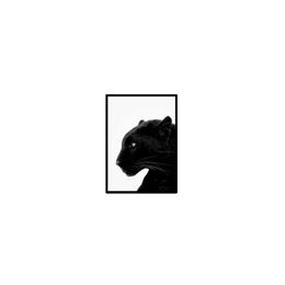 Atmosphera - Leinwand schwarzer Panther 60 x 90 cm Multicolore