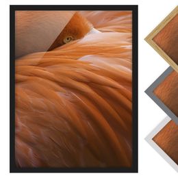 Bilderwelten Bild mit Rahmen Flamingofedern - gerahmte Wandbilder Print Tiere Wohnzimmer Schlafzimmer Bad Badezimmer K&uuml;che Flur Esszimmer Rosa