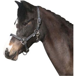 Rio Halfter - grau/schwarz - Vollblut - HORSE GUARD