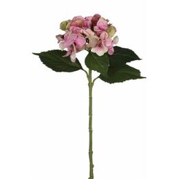 Mica Decorations Mica künstliche Hortensie rosa, 51 cm Kunstpflanzen