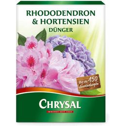 Chrysal - Rhododendron & Hortensien Dünger - 3 kg