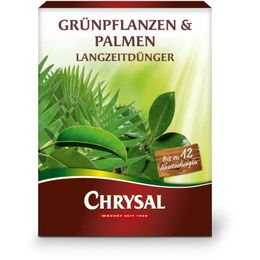 Grünpflanzen und Palmen Langzeitdünger - 300 g - Chrysal