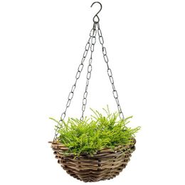 Gärtner Pötschke Hängeampel Rattan, 30 cm