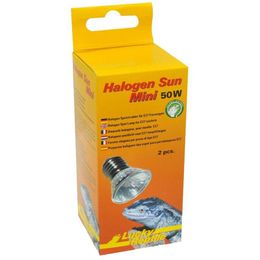 LUCKY REPTILE - Halogen Sun Mini Doppelpackung - 50W