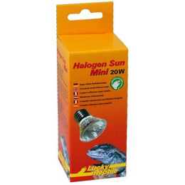 Halogen Sun Mini Doppelpackung - 20W - LUCKY REPTILE