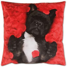Bestlivings Dekokissen Fotodruck Motiv in 40x40 cm, Flauschig weiches Kissen in vielen Motiven erhältlich ( Design: Hund ) - Hund