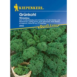 Grünkohl Winnetou - Gemüsesamen - Kiepenkerl