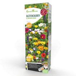 Gärtner Pötschke Blumensamenmischung Blütenzauber, 40 g