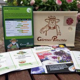 Gärtner Pötschke Saatgut-Holzbox Bienen und Blumen