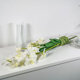 Gärtner Pötschke Kunstpflanze Orchidee Vanda, weiß