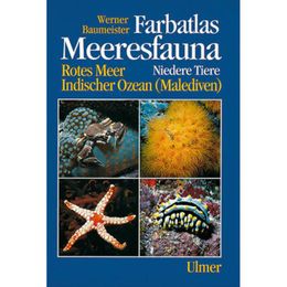 Farbatlas Meeresfauna, 2 Bde.: Bd.1 Meeresfauna - Niedere Tiere - Werner Baumeister, Kartoniert (TB)