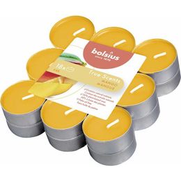 Duftteelichter True Scents Mango ø 3,8 cm, 18er Pack Teelichter - bolsius